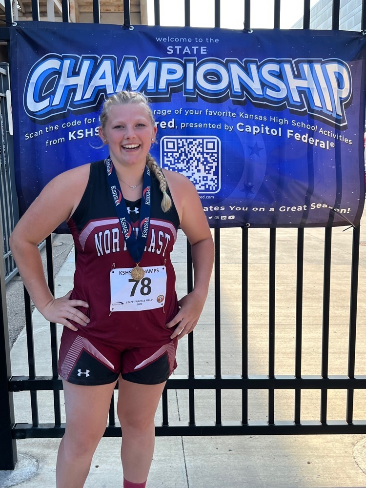 Live Feed | Northeast USD 246